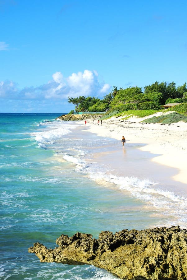 Barbados editorial photography. Image of environment - 35307967