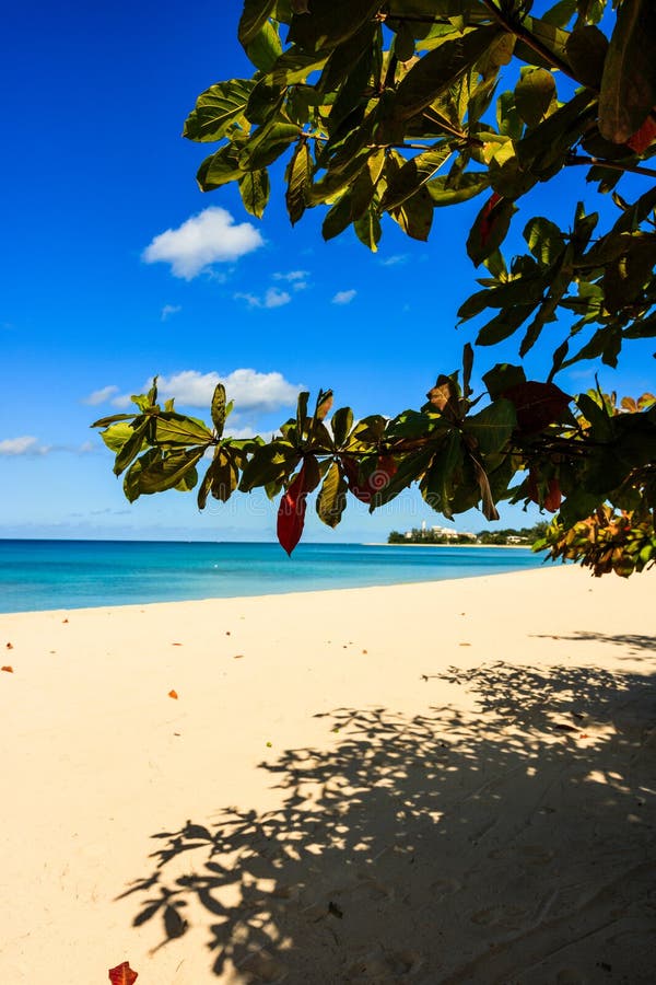 Barbados Island S Sandy Paradise Beach, Caribbean Island Stock Image ...
