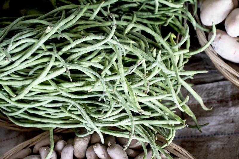 Barbati Vines and Other Vegetables are Lying on the Ground Stock Image ...