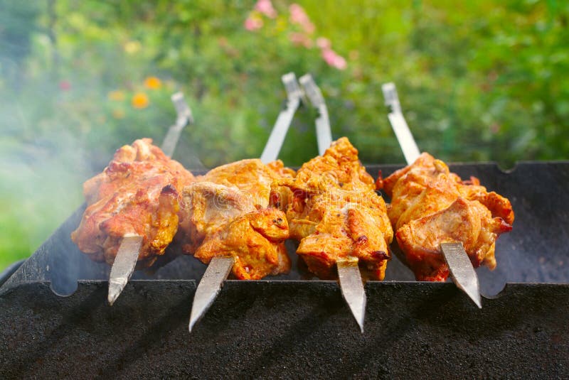 Barbecue. stock image. Image of barbecue, wide, cooking - 16002555