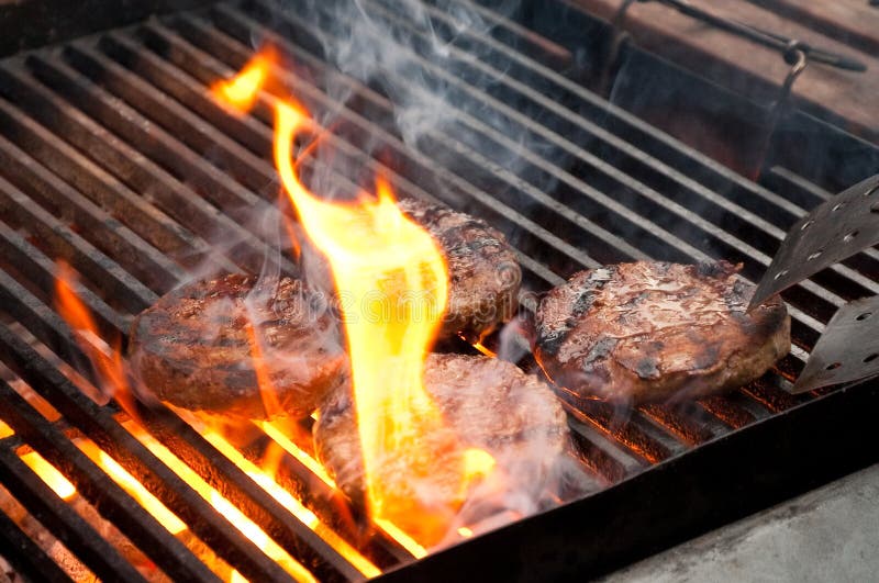 Barbecue stock photo. Image of grilling, cookout, ingredient - 16378738