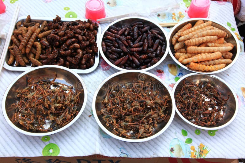 Barbecue locust stock photo. Image of dinner, calf, beef - 13207954