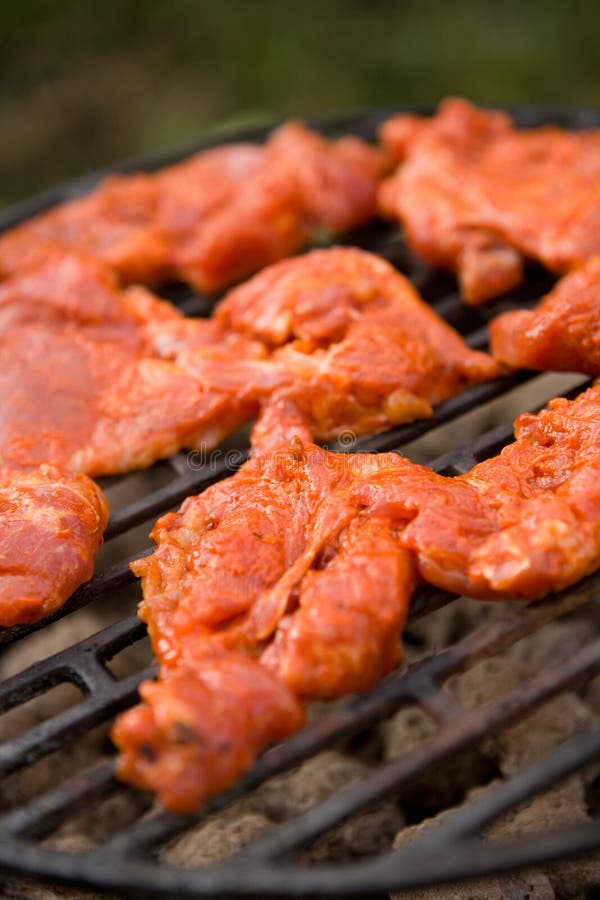 Barbecue Free Stock Photos & Pictures, Barbecue Royalty-Free and Public ...