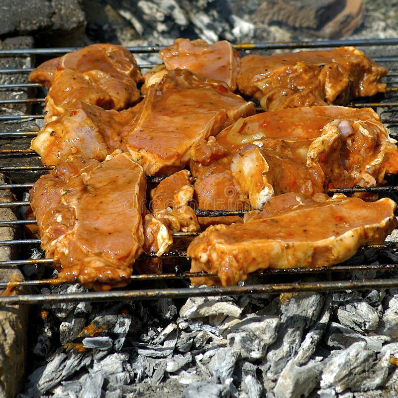 Barbecue stock photo. Image of dinner, smoke, taste, pork - 3089816