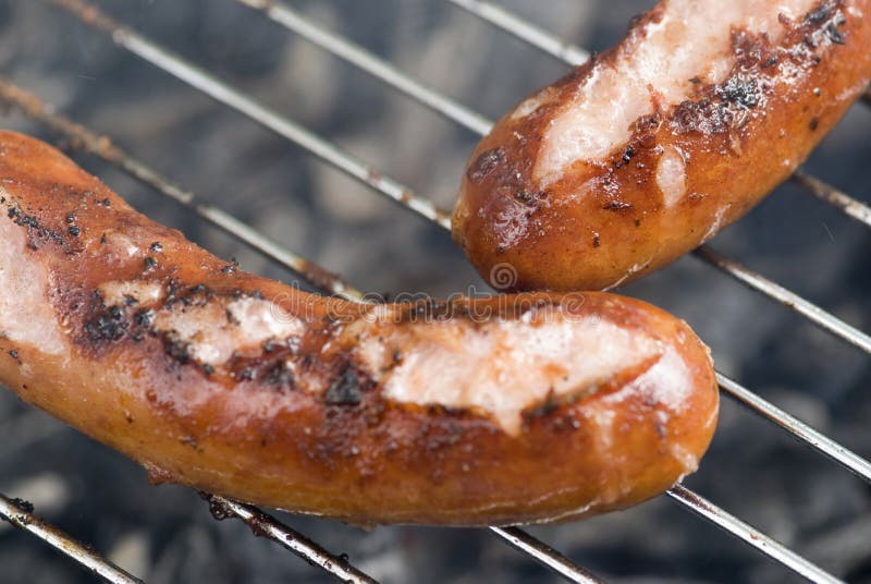 Barbecue stock image. Image of food, meat, friends, cooking - 6473749