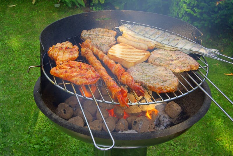 Barbecue stock image. Image of onion, meal, dinner, kebab - 1677919