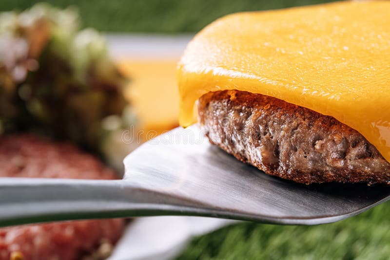 Barbecue Burger Cutlet. Barbeque Concept in Nature Stock Photo - Image ...