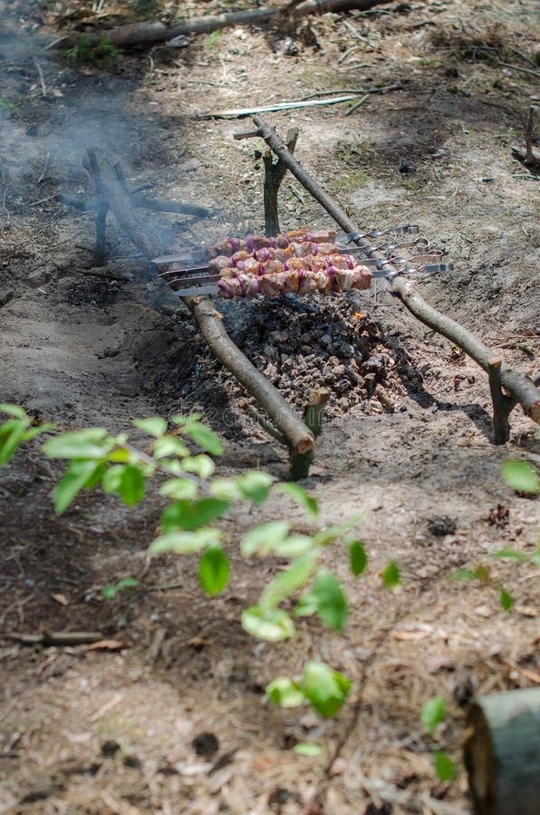 Barbecue on the Campfire in the Forest Stock Photo - Image of grilled ...