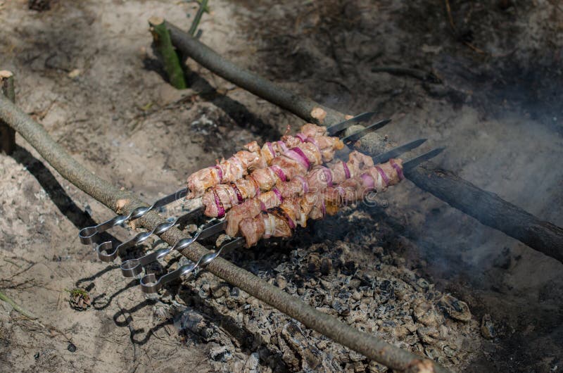 Barbecue on the Campfire in the Forest Stock Photo - Image of grill ...
