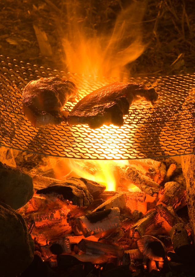 Barbecue on the Campfire in Wild. Stock Image - Image of eating, beef ...