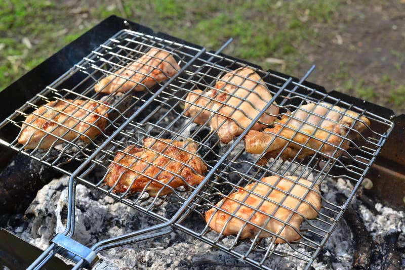 Barbecue Chicken Over an Open Fire in Summer Stock Photo - Image of ...