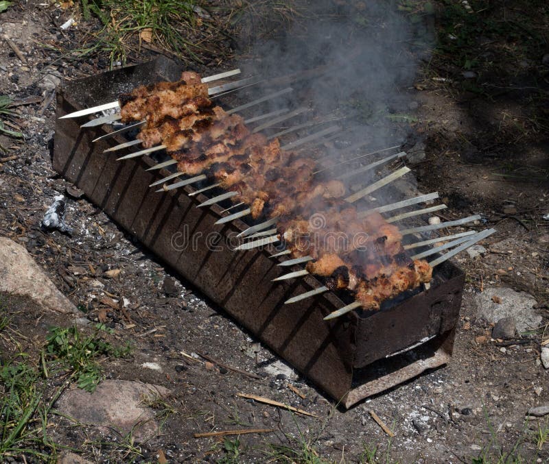 Barbecue Cooking Outdoors in Nature Stock Image - Image of kebab, beef ...