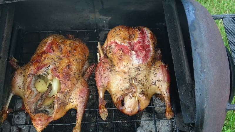 Barbecue Duck Grilling, Cooking Food Stock Photo - Image of tasty ...
