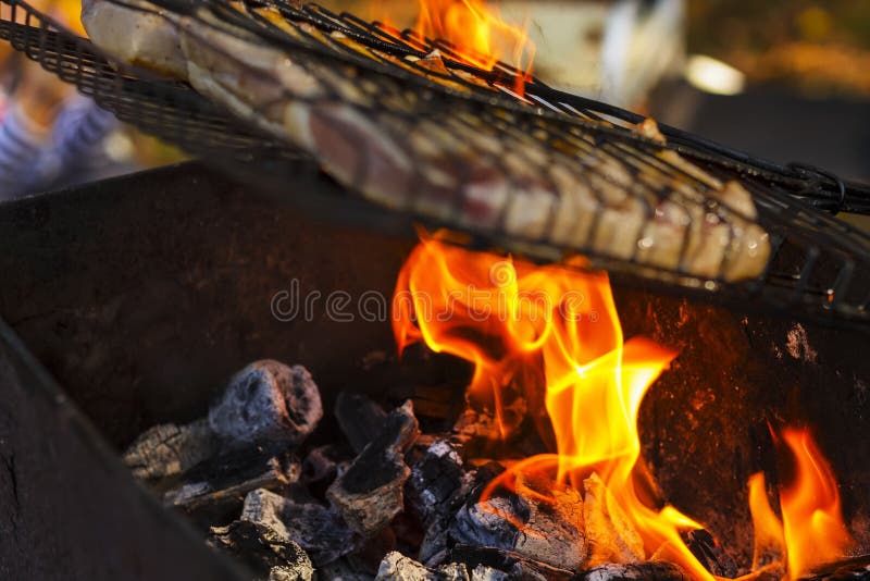 Barbecue on the fire stock photo. Image of focus, grilling - 78578878