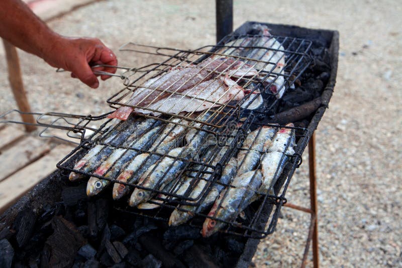 Barbecue with fish stock photo. Image of gourmet, isolated - 116112604