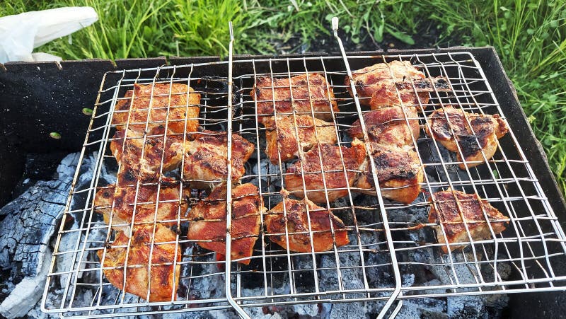 Barbecue Fishing on the Grill Stock Image - Image of fishing, cooked: 386559475