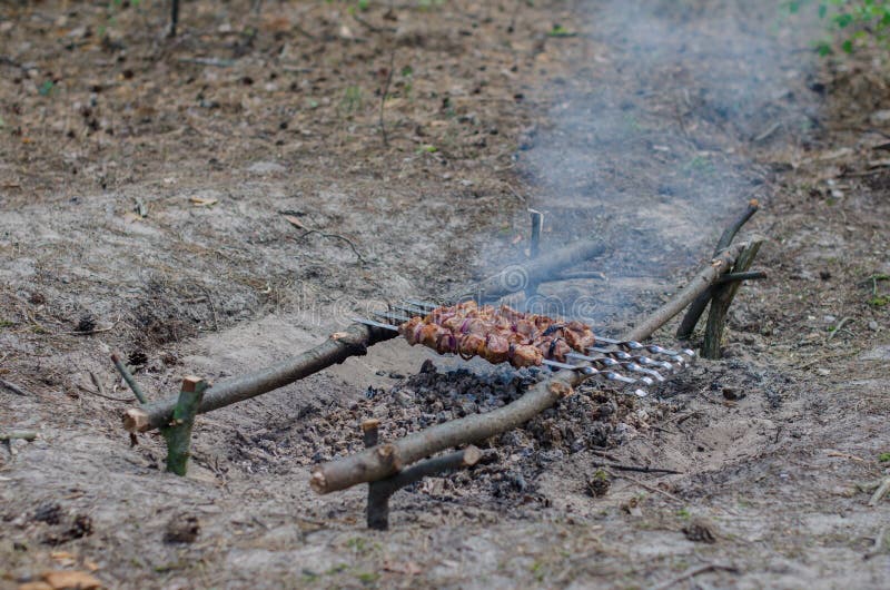 Barbecue on the Campfire in the Forest Stock Photo - Image of fried ...