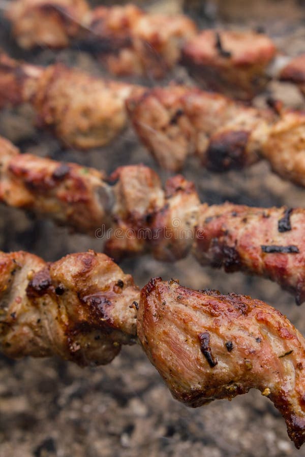 Barbecue stock photo. Image of leaf, heat, meat, gourmet - 33767634