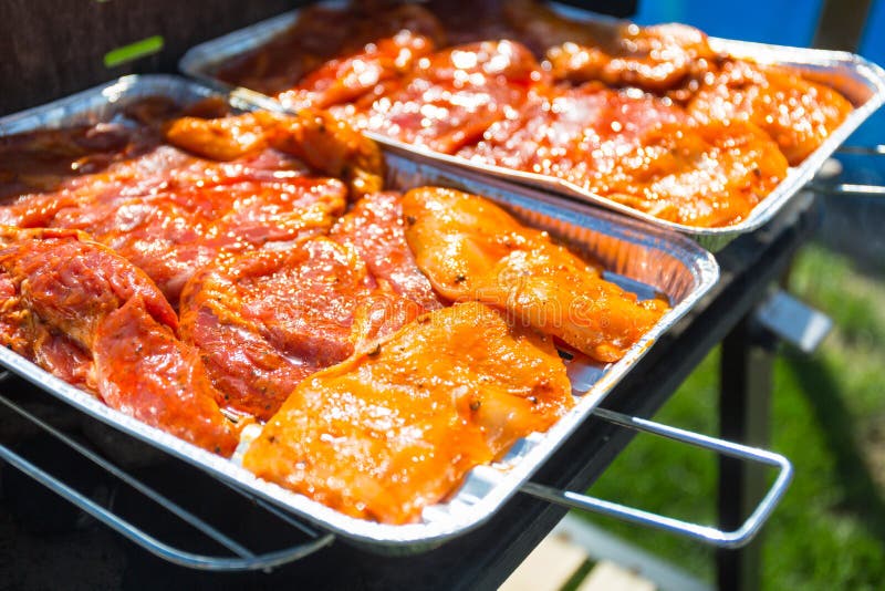Barbecue Garden Grill with Selection of Fresh Meat Stock Photo - Image ...