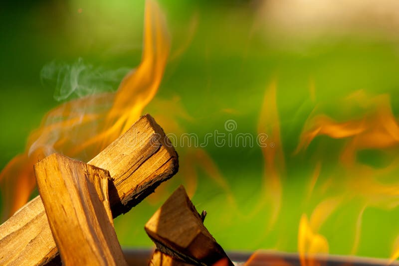 Barbecue Grill. Fire Flame on Green Grass Background Stock Photo ...