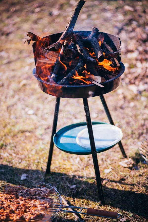 Barbecue grill and fire stock image. Image of cooking - 43786021