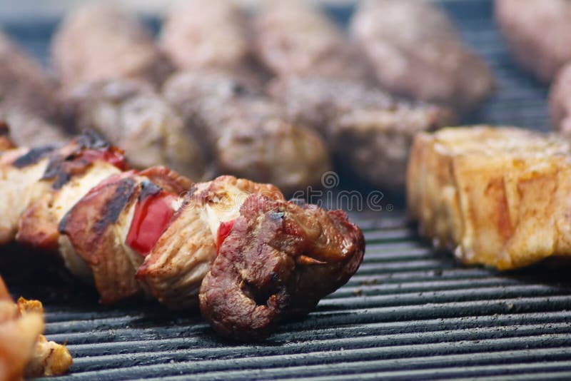 Barbecue meat spit stock photo. Image of food, plate - 14218590