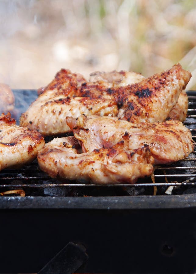 Barbecue meat stock image. Image of outdoor, bird, dinner - 24526965