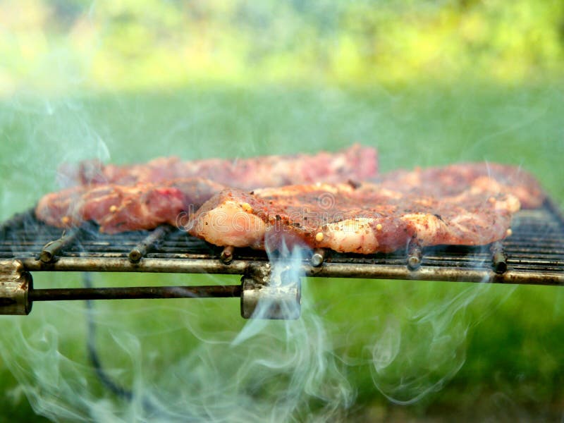 Barbecue meat stock image. Image of fresh, juicy, roast - 4139475