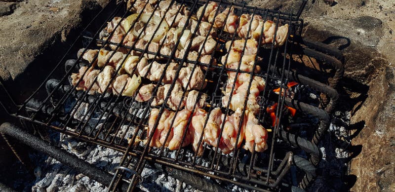 Barbecue Meat Cooking in the Forest Stock Photo - Image of barbecue ...