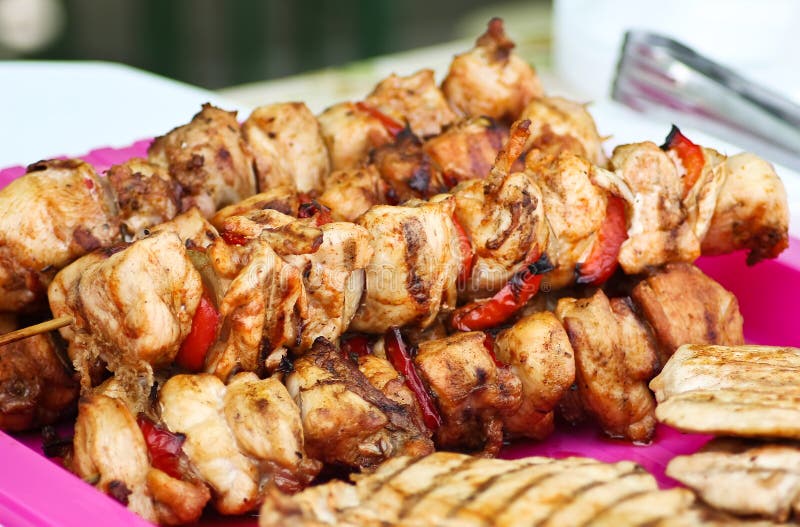 Barbecue meat spit stock photo. Image of food, plate - 14218590