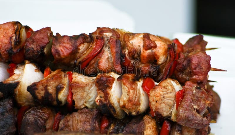 Barbecue meat spit stock photo. Image of plate, souvlaki - 14218646