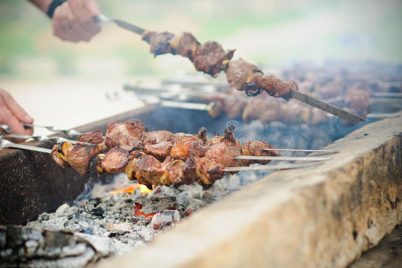 Barbecue stock image. Image of chicken, gourmet, barbecue - 51757883