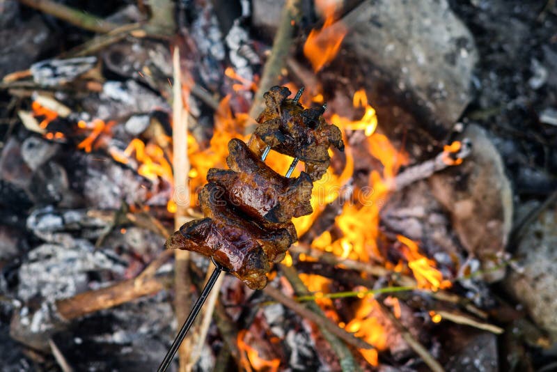 Barbecue with Open Fire and Sausages on the Spit Stock Photo - Image of ...