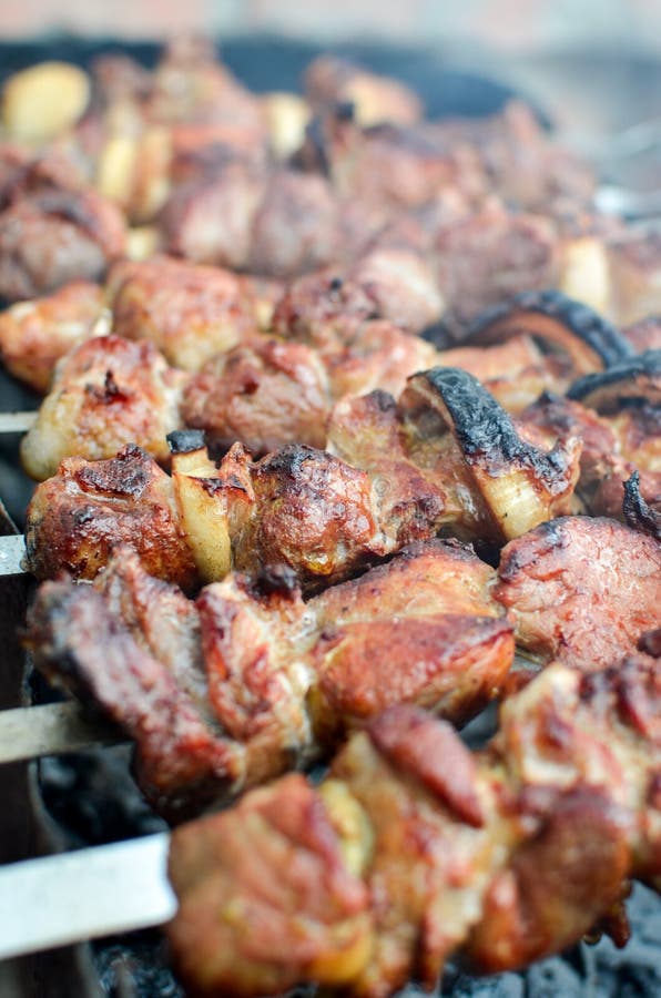 Barbecue stock photo. Image of palatable, juicy, onion - 39928902