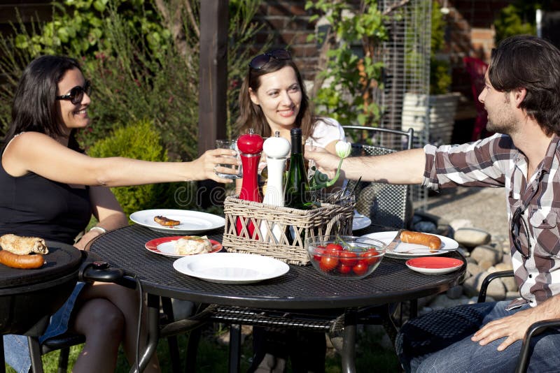 Barbecue party stock image. Image of barbecue, park, friends - 20116119