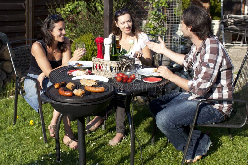 Barbecue party stock image. Image of pork, park, friends - 20116277