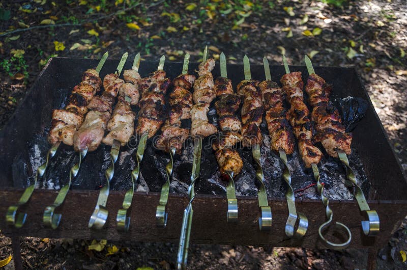 Barbecue in picnic stock image. Image of cooking, beef - 128256107