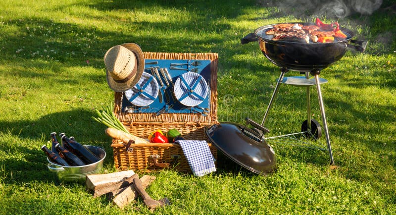 Barbecue picnic stock photo. Image of barbeque, cook - 95500056