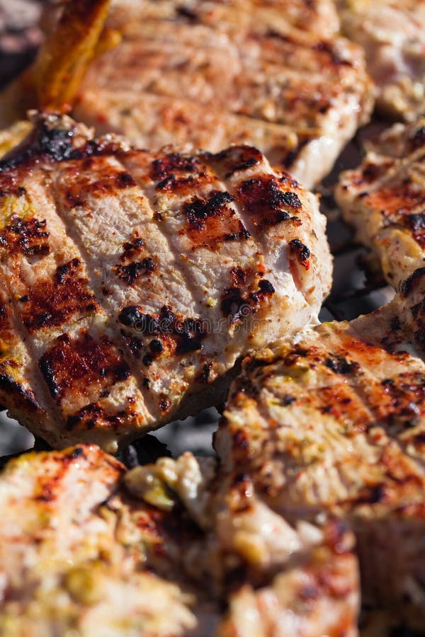 Barbecue pork stock image. Image of taste, party, summer - 25408187