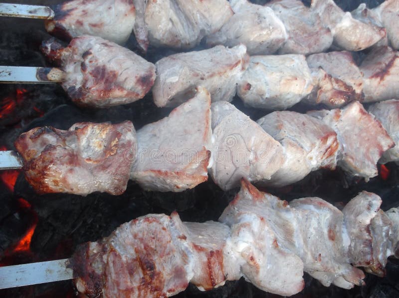 Barbecue stock image. Image of russian, nature, lamb - 85352455