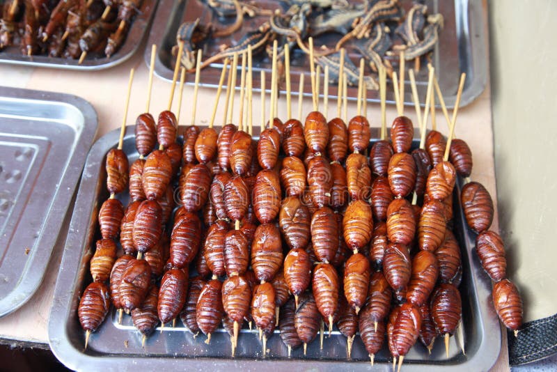 Barbecue locust stock photo. Image of dinner, calf, beef - 13207954