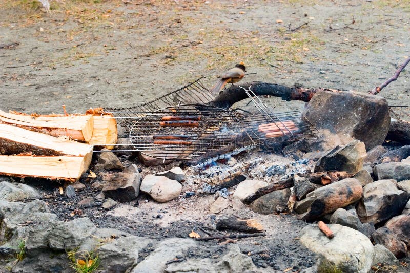 Jay Dog Hotdog Stock Photos - Free & Royalty-Free Stock Photos from ...