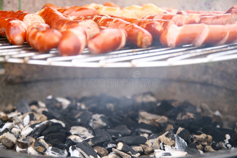 Barbecue time.. stock image. Image of picnic, grilled - 2893773