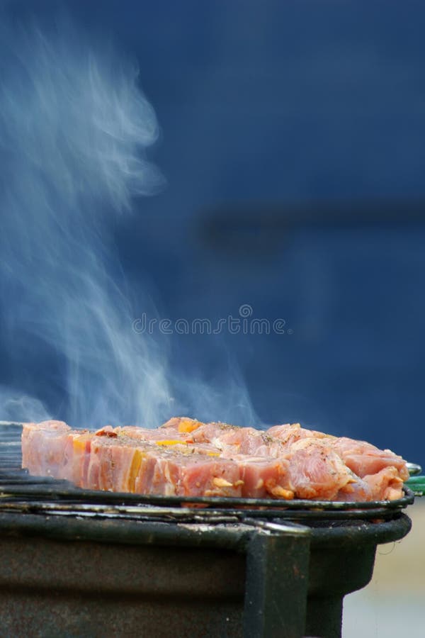 Barbecue view stock image. Image of nutrition, charcoal - 11688583