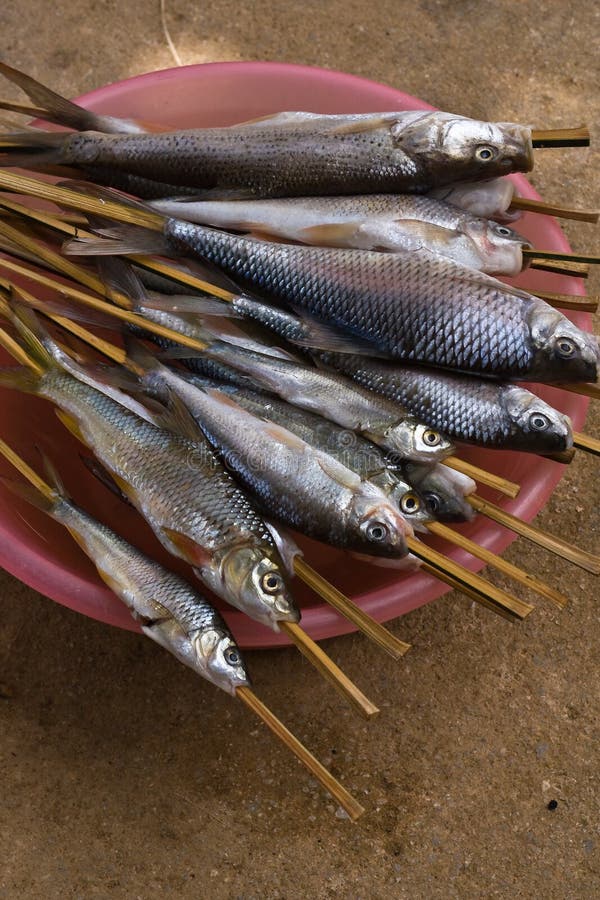 Barbecued fish on stick stock image. Image of vertical - 12964453