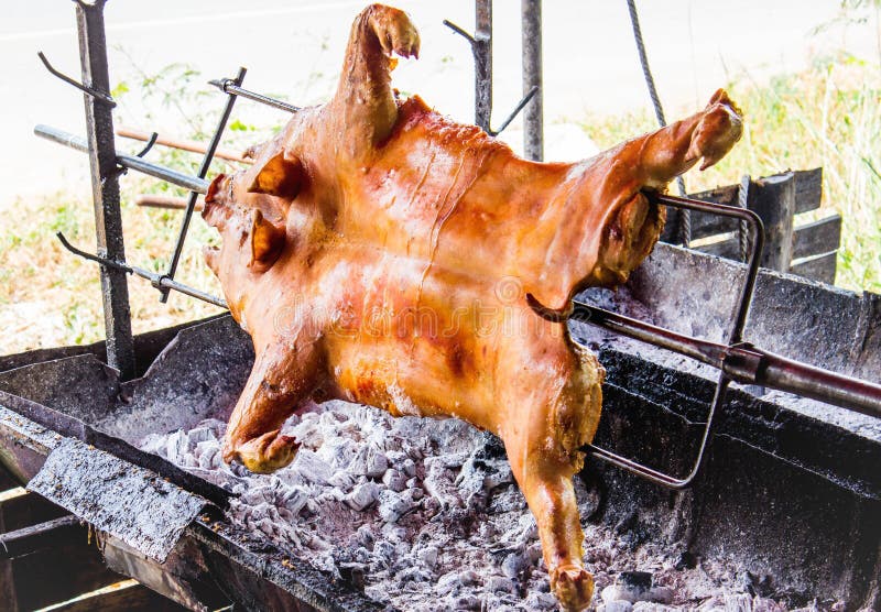 Barbecued pig stock photo. Image of smok, grilled, outdoor - 74895794