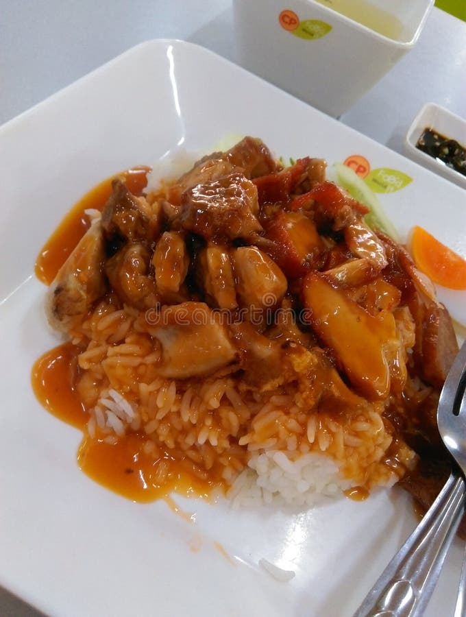 Barbecued Red Pork in Sauce with Rice on Plate Stock Image - Image of ...