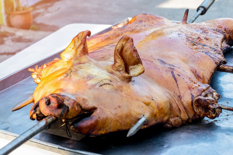 Barbecued Suckling Pig or Roasted Suckling Pig Stock Photo - Image of ...