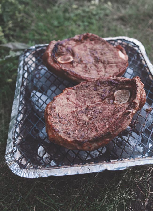 Picnic with Barbecues Outdoors Stock Photo - Image of meal, food: 101223328