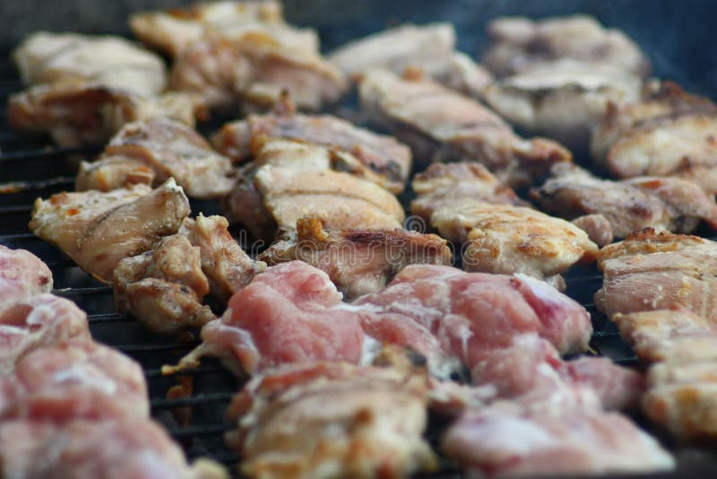 Barbecuing Meat on Charcoal Fire Closeup Image. Stock Photo - Image of ...